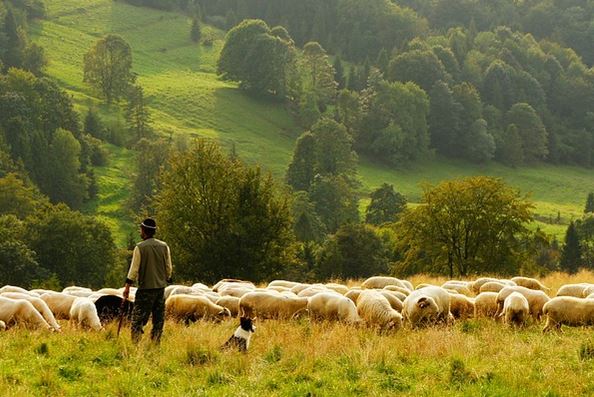 Devenir paysan - Article - Access'Infos