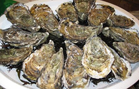 Les huîtres - Article - Access'Infos