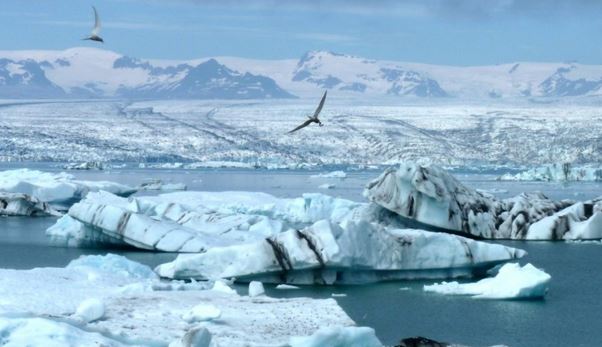 Arctique - Article - Access'Infos