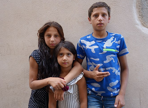 Les Roms - Article - Access'Infos