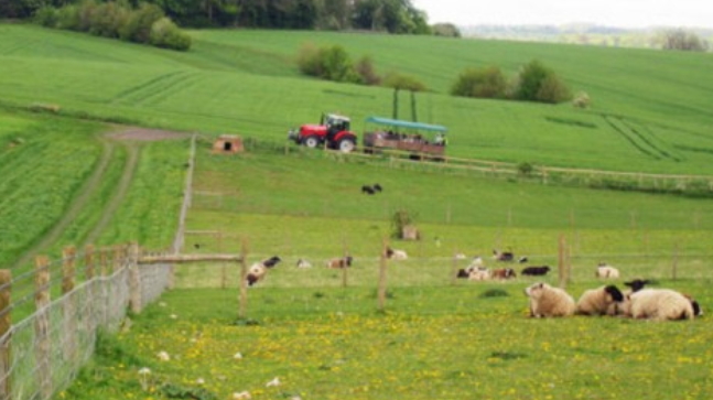 Devenir paysan - Article - Access'Infos